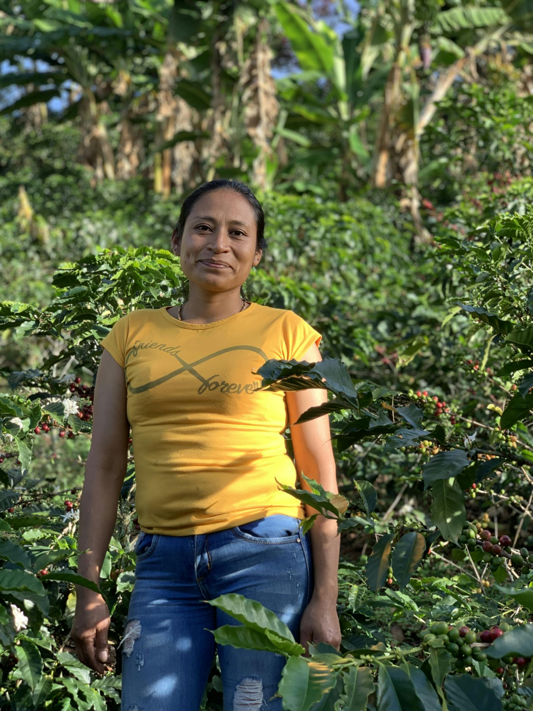 Dispatch Coffee – Homepage